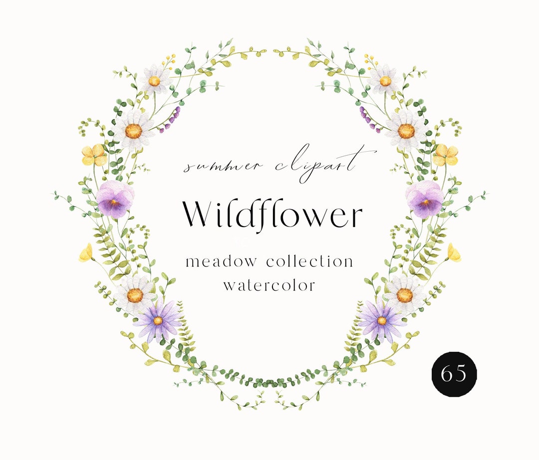 Wildflower Watercolor Clipart, Summer Meadow Clipart, Floral Digital ...