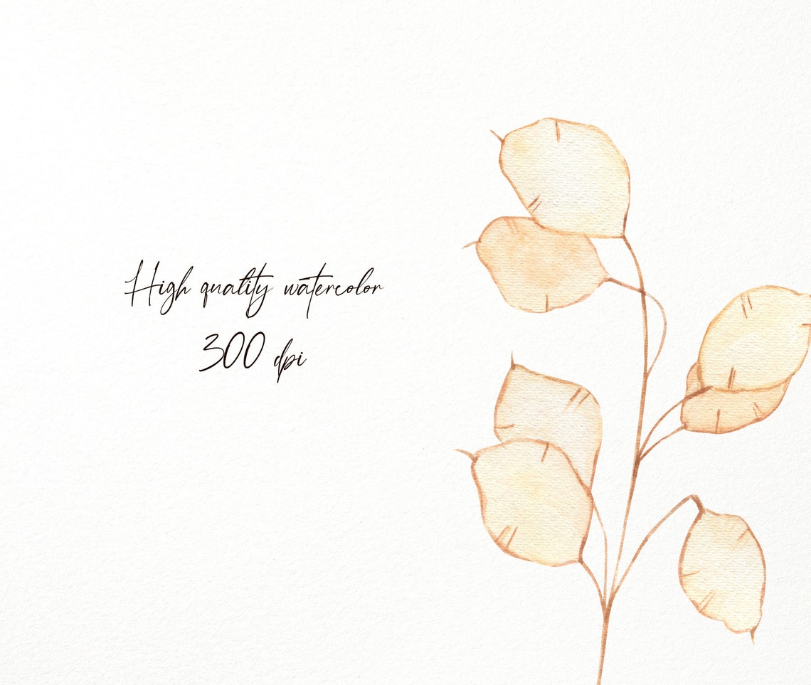 Fall Dried Flowers Boho Clipart Autumn Floral Png Boho - Etsy