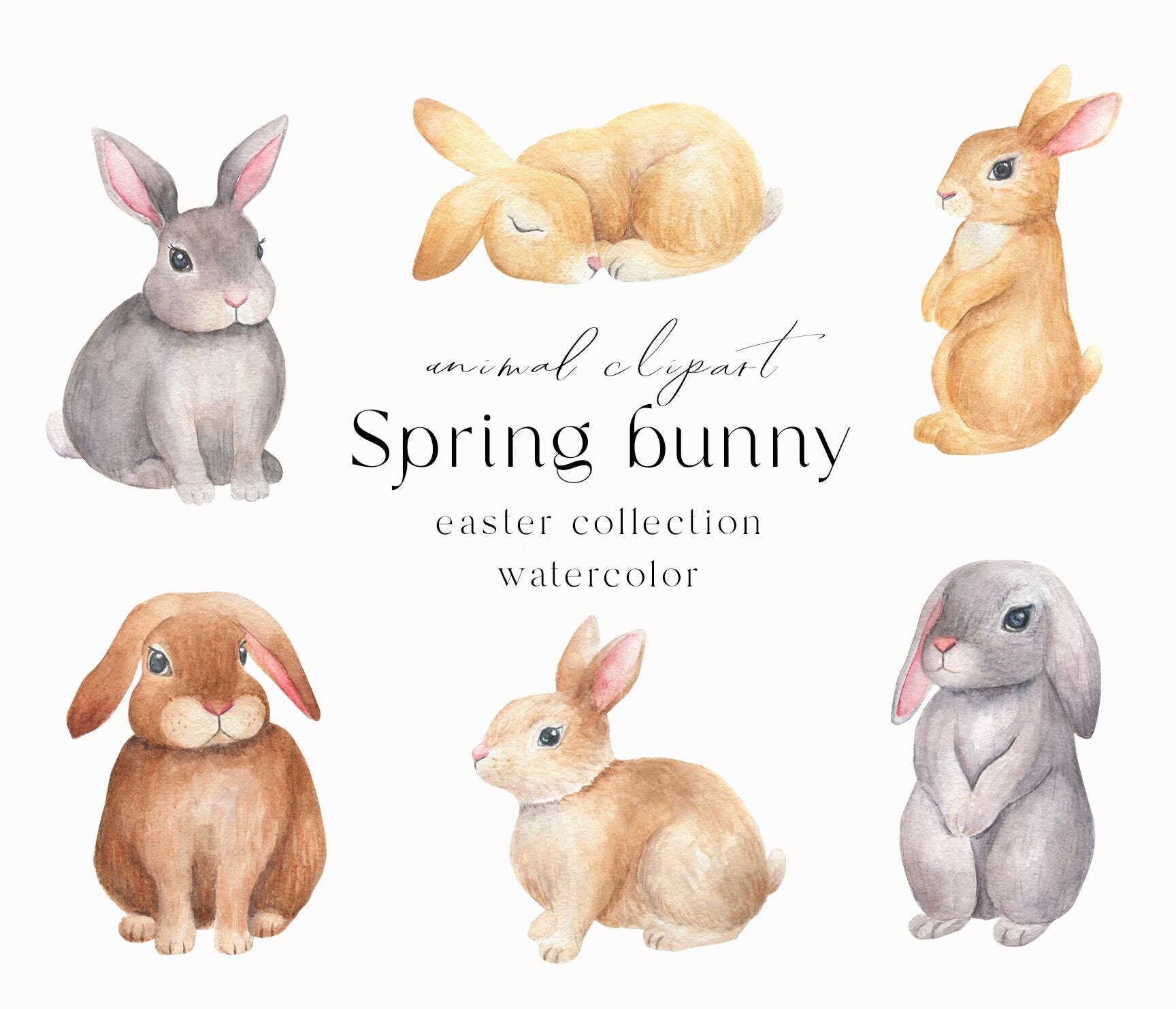 Bunny Clipart Watercolor, Easter Bunny Clipart, Spring Baby Bunny Png ...