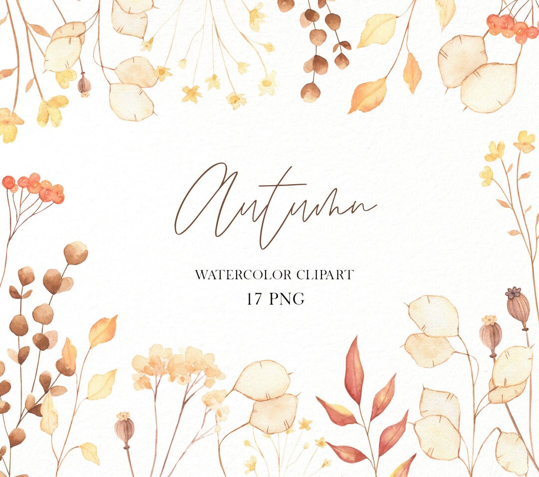 Fall Dried Flowers Boho Clipart, Autumn Floral Png, Boho Eucalyptus ...