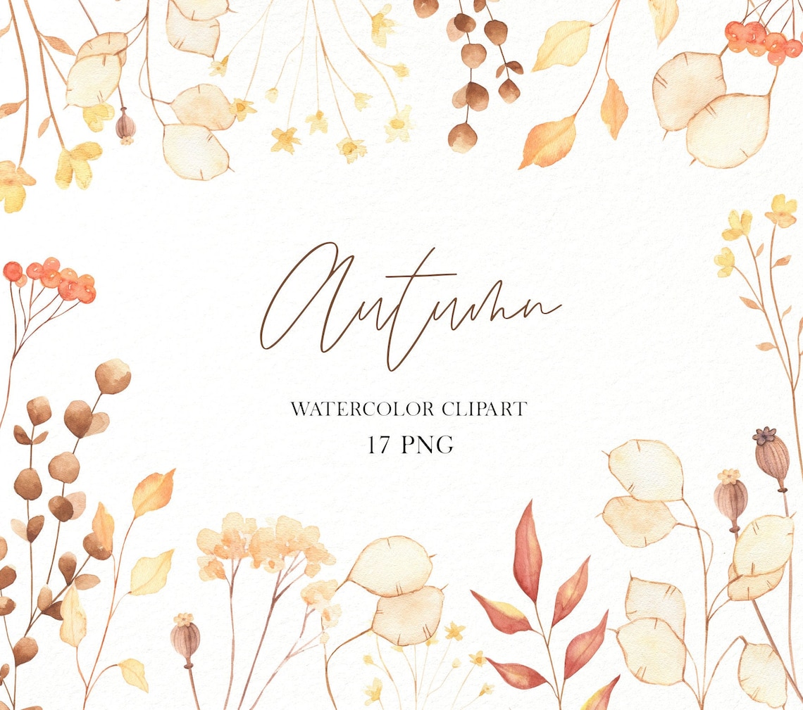 Fall dried flowers boho clipart Autumn floral png Boho | Etsy