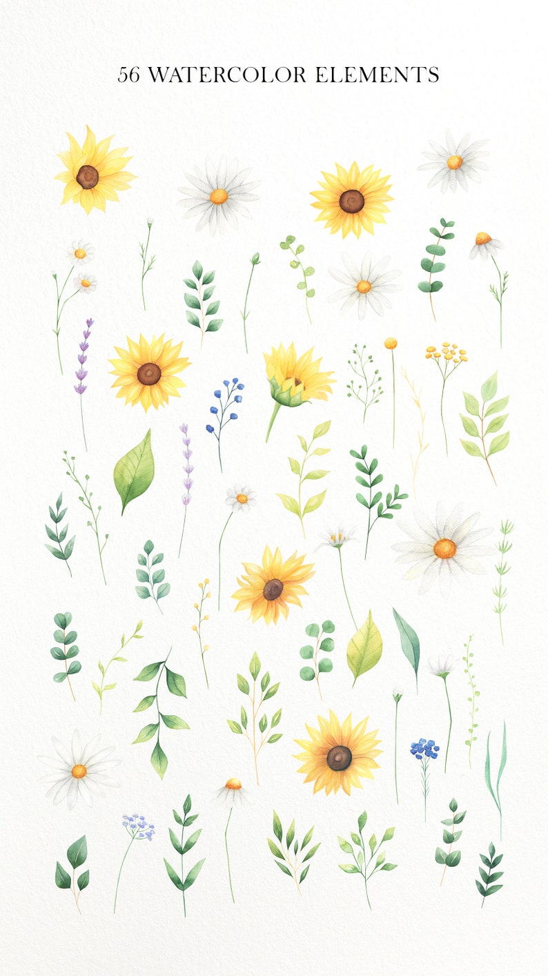 Sunflower Clipart Watercolor, Daisy Clipart Png, Sunflower Bouquet Png ...