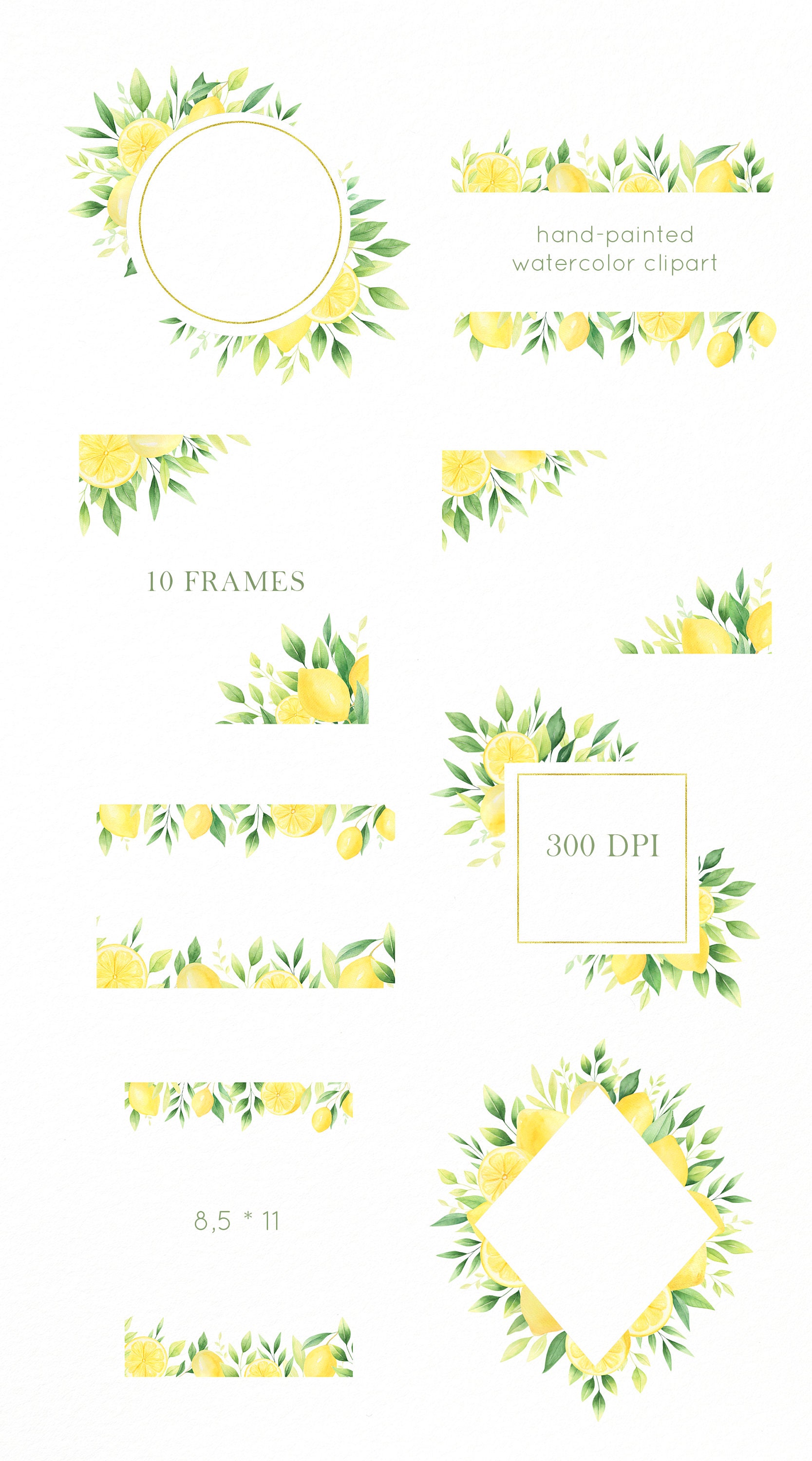 Watercolor Lemons Clipart Summer Citrus Greenery Clipart Png - Etsy