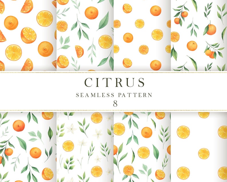 Watercolor Orange Digital Paper Summer Citrus Greenery - Etsy