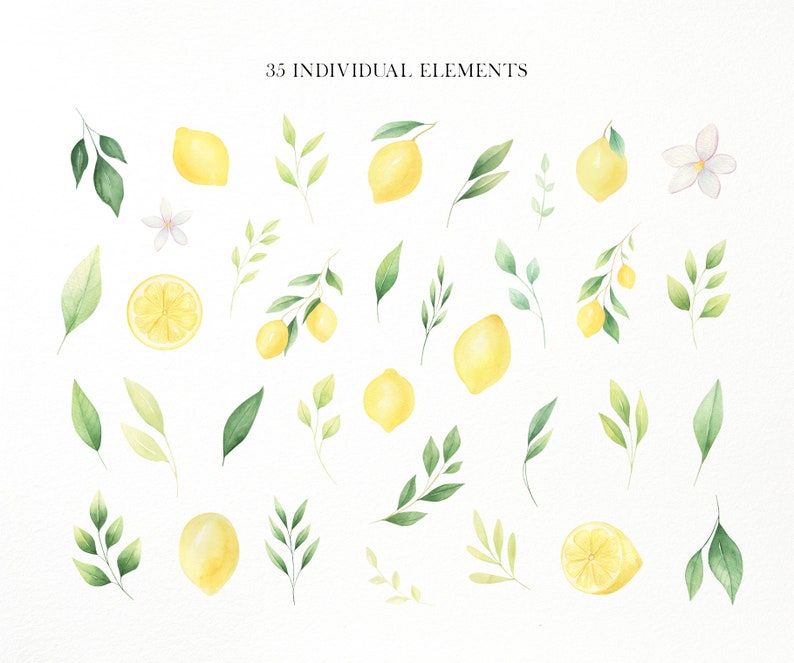 Watercolor Lemons Clipart Summer Citrus Greenery Clipart Png - Etsy