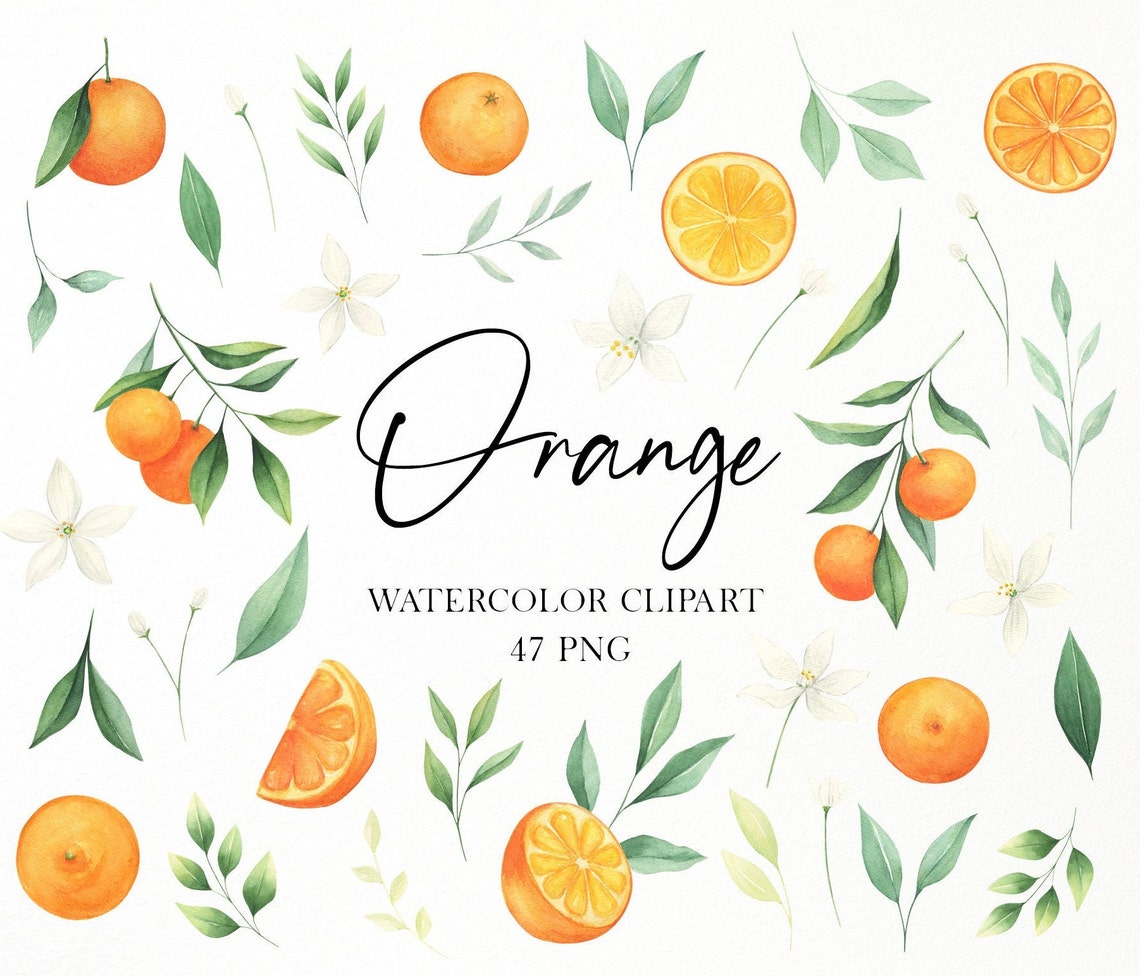 Orange Watercolor Clipart Citrus Wedding Invitation Summer - Etsy
