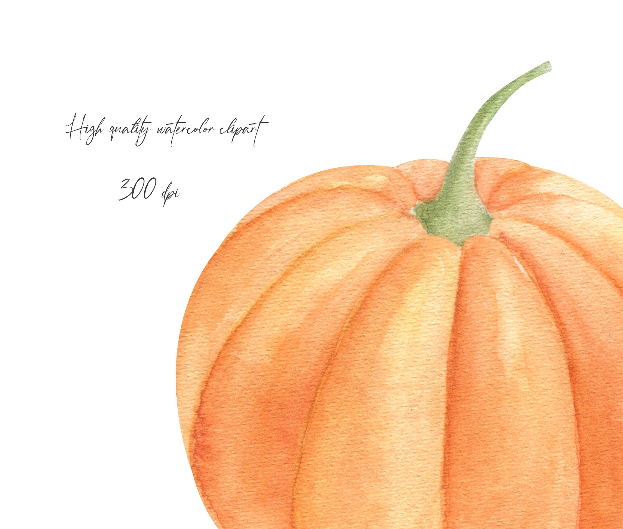 Autumn Watercolor Clipart Fall Leaves Thanksgiving Clipart - Etsy