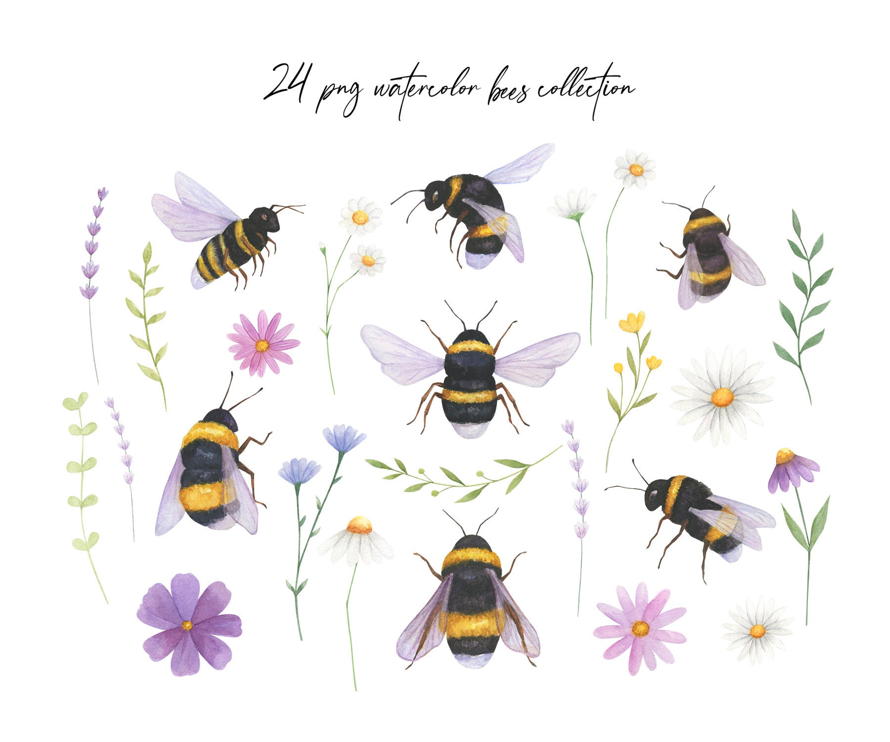 Bee Watercolor Clip Art, Insect Clipart, Summer Wildflowers Bee Print ...