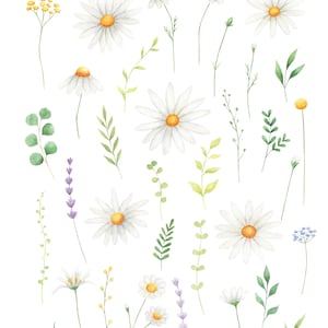 Daisy Watercolor Clipart, Wildflowers Floral Clip Art, Wedding ...