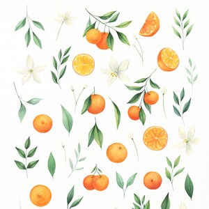 Orange Watercolor Clipart, Citrus Wedding Invitation, Summer Citrus ...
