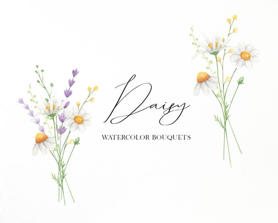 Watercolor Daisy Bouquets Clipart Summer Floral Clipart | Etsy