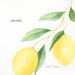 Watercolor Lemons Clipart, Summer Citrus Greenery Clipart Png, Lemon ...