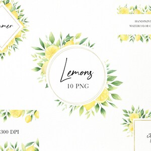 Watercolor Lemon Frames Png Lemon Clipart Summer Citrus | Etsy