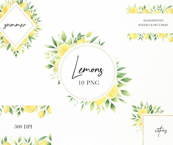 Watercolor Lemon Frames Png Lemon Clipart Summer Citrus | Etsy