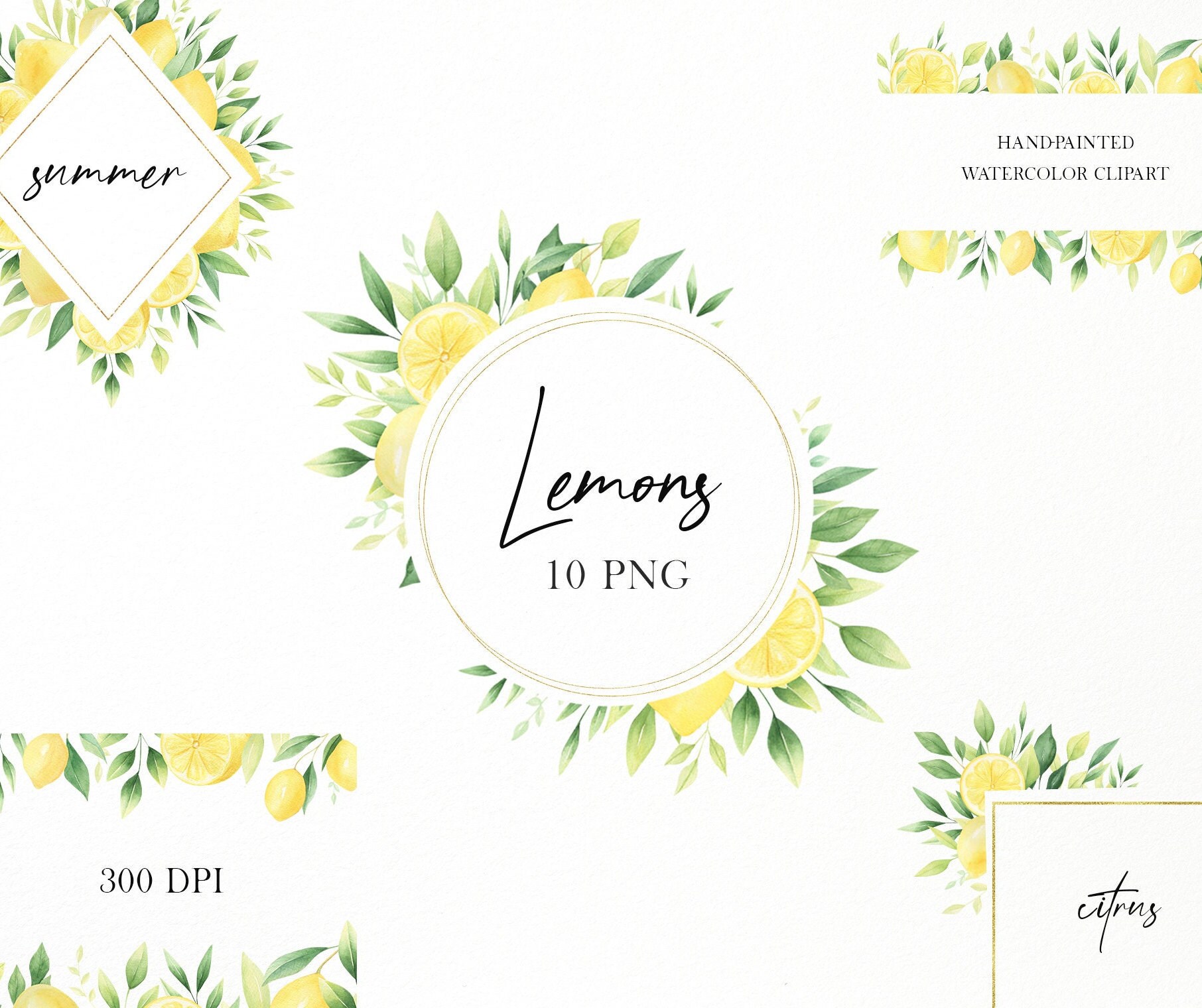 Watercolor Lemon Frames Png Lemon Clipart Summer Citrus - Etsy