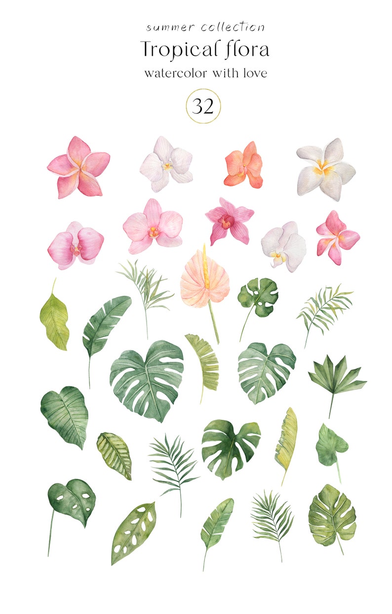 Tropical Watercolor Clipart, Tropical Greenery Png, Tropical Floral ...