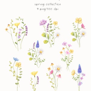Wildflower Watercolor Clipart, Summer Meadow Clipart, Floral Digital ...