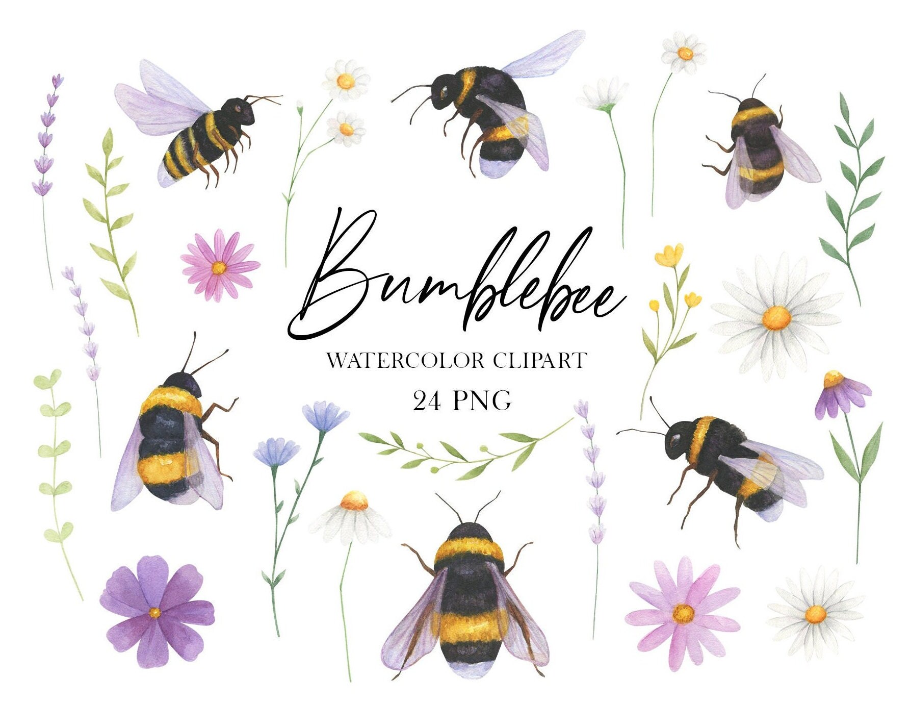 Bee Watercolor Clip Art, Insect Clipart, Summer Wildflowers Bee Print ...