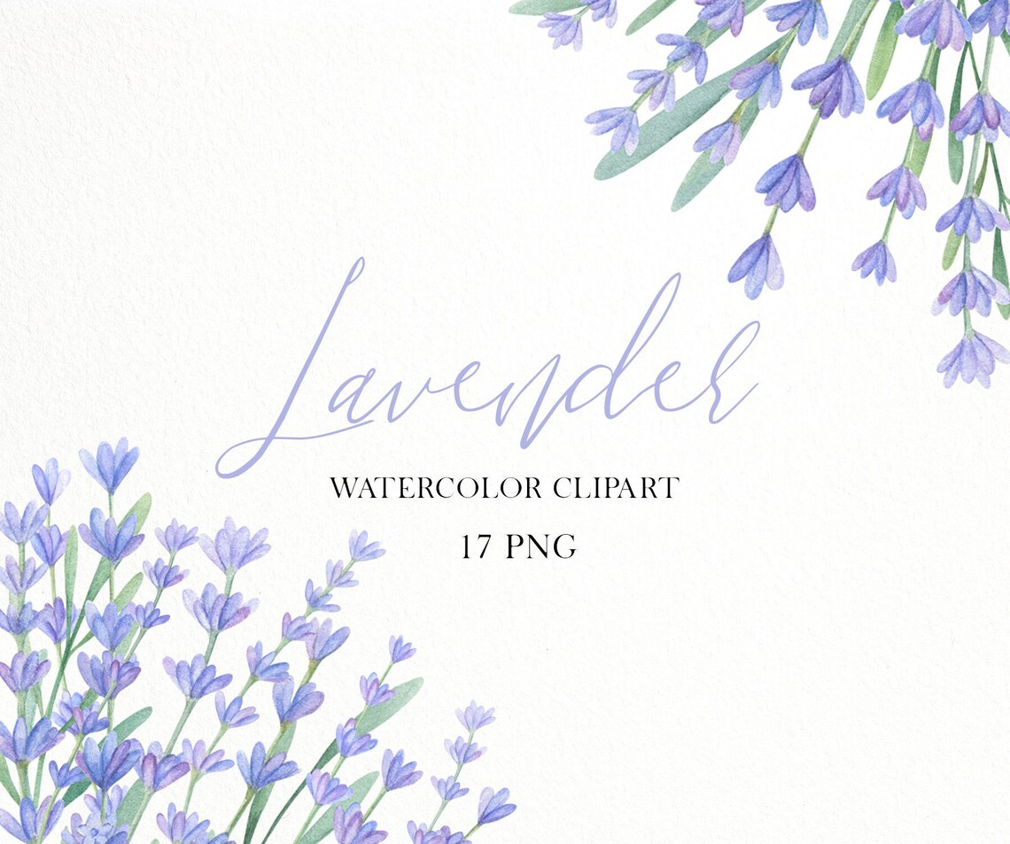 Lavender Watercolor Clipart Lavender Floral Png Rustic | Etsy