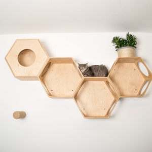 Closed Cat Hexagon Wall Cat Hexagon Shelves Hexagon Cat Shelves Hexagon ...