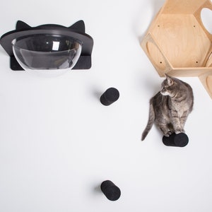 Acrylic Bubble Cat Shelf: Modern Wall Perch, Black Cat Furniture, Funny ...
