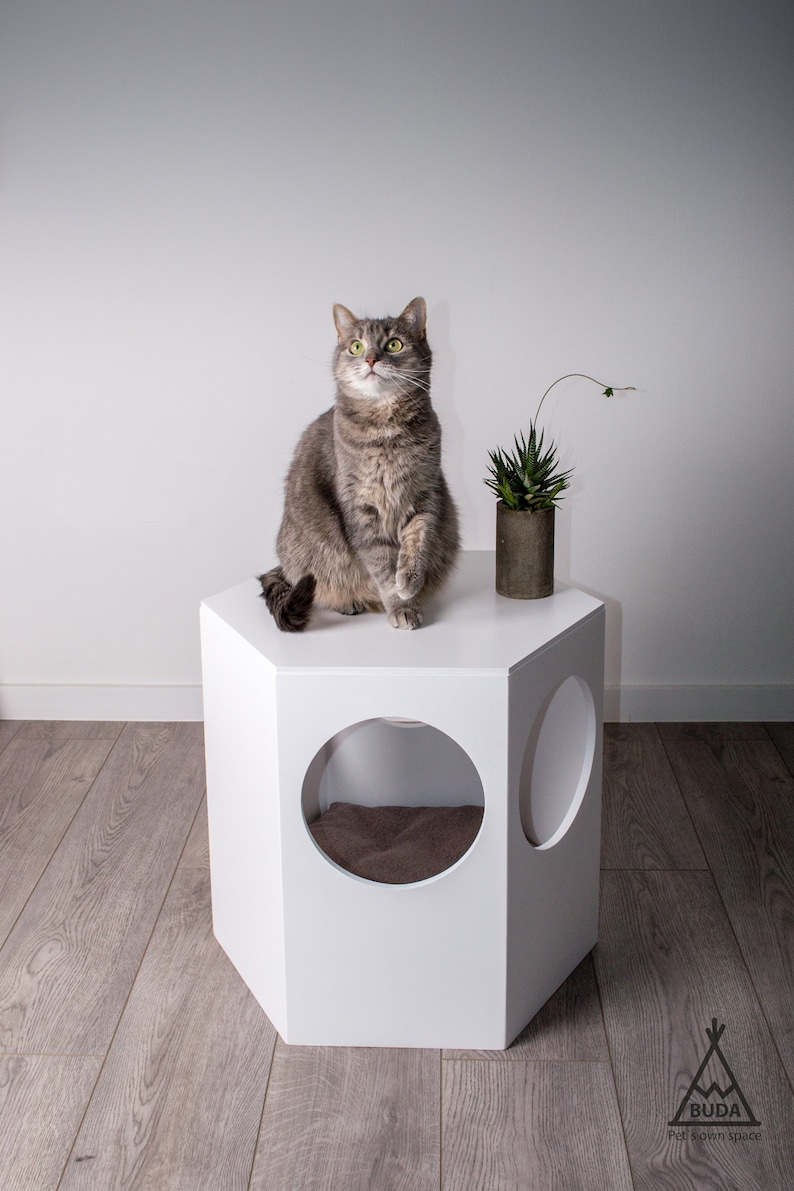 Cat House Bedside Table Modern Cat Furniture Cat Cabinet Cat - Etsy