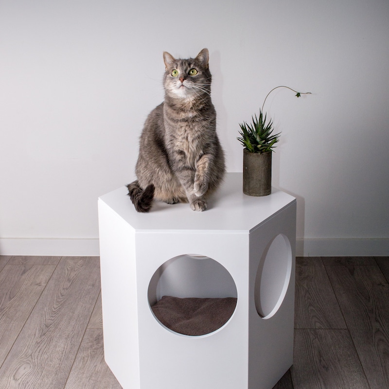 Cat End Table - Etsy