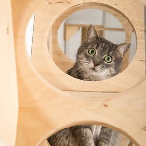 Hexagon Cat Shelves Cat House Cat Tree Cat Bed Wooden Cat Bed Wooden ...