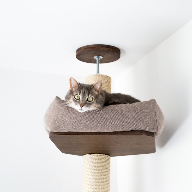 Cat Nap Bed - Etsy