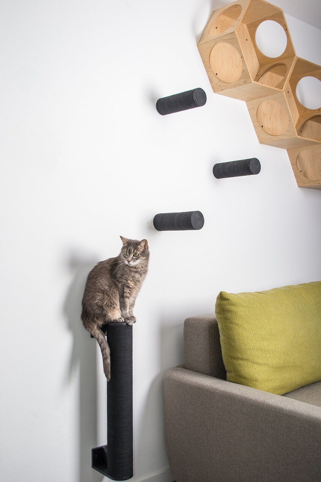 Cat Wall Scratcher. Cat Scratcher. Modern Cat Furniture. Cat Wall ...