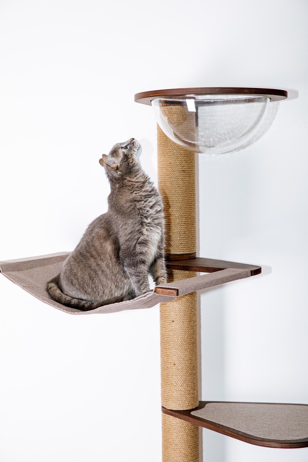 Tall Cat Tree With Clear Bubble. Cat Tower With Cat Bed. Cat Tree With ...