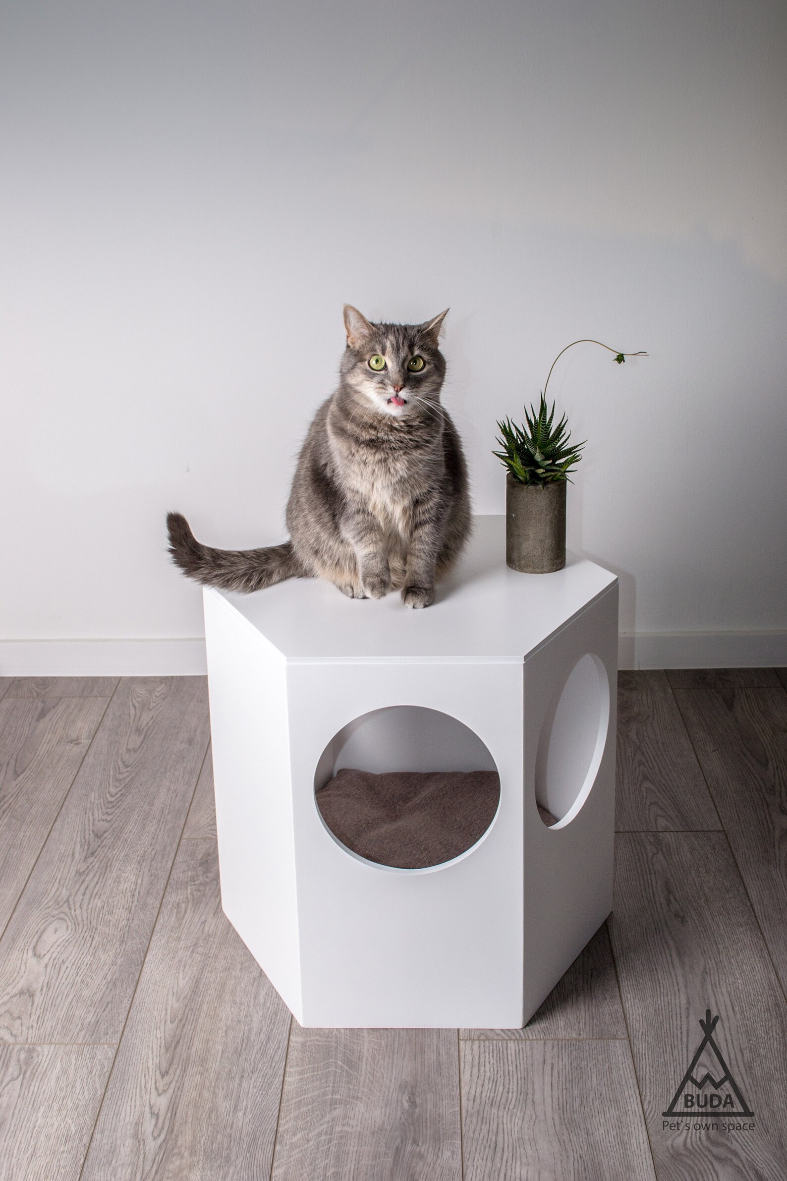 Cat House Nightstand 2 in 1 Bedside Table Modern Furniture | Etsy