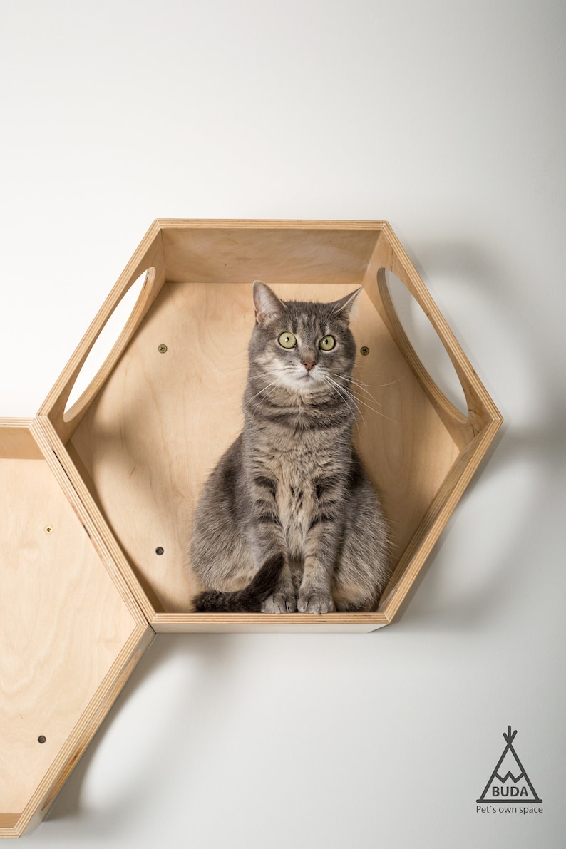 Closed Cat Hexagon Wall Cat Hexagon Shelves Hexagon Cat - Etsy