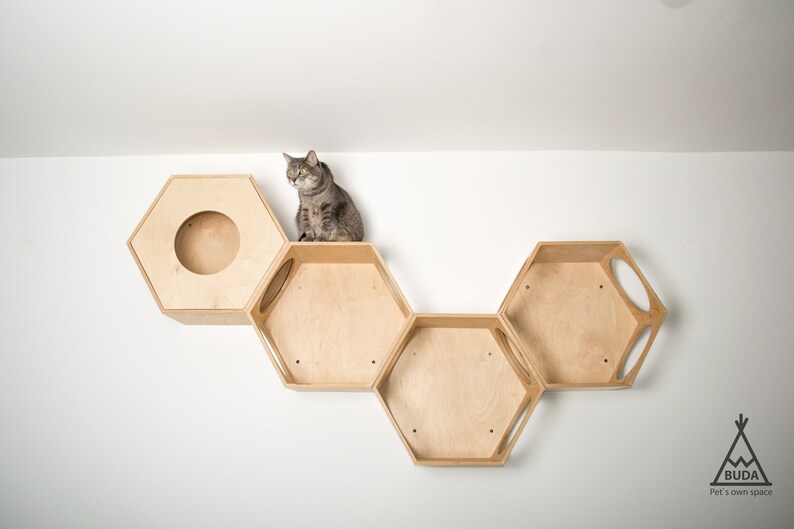 Hexagon Cat Shelves Cat Bed Modern Cat Furniture Cat - Etsy