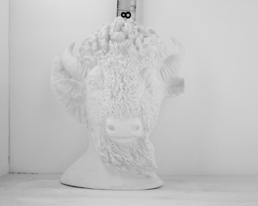 Buffalo Bust Ceramic Ready to Paint - Etsy