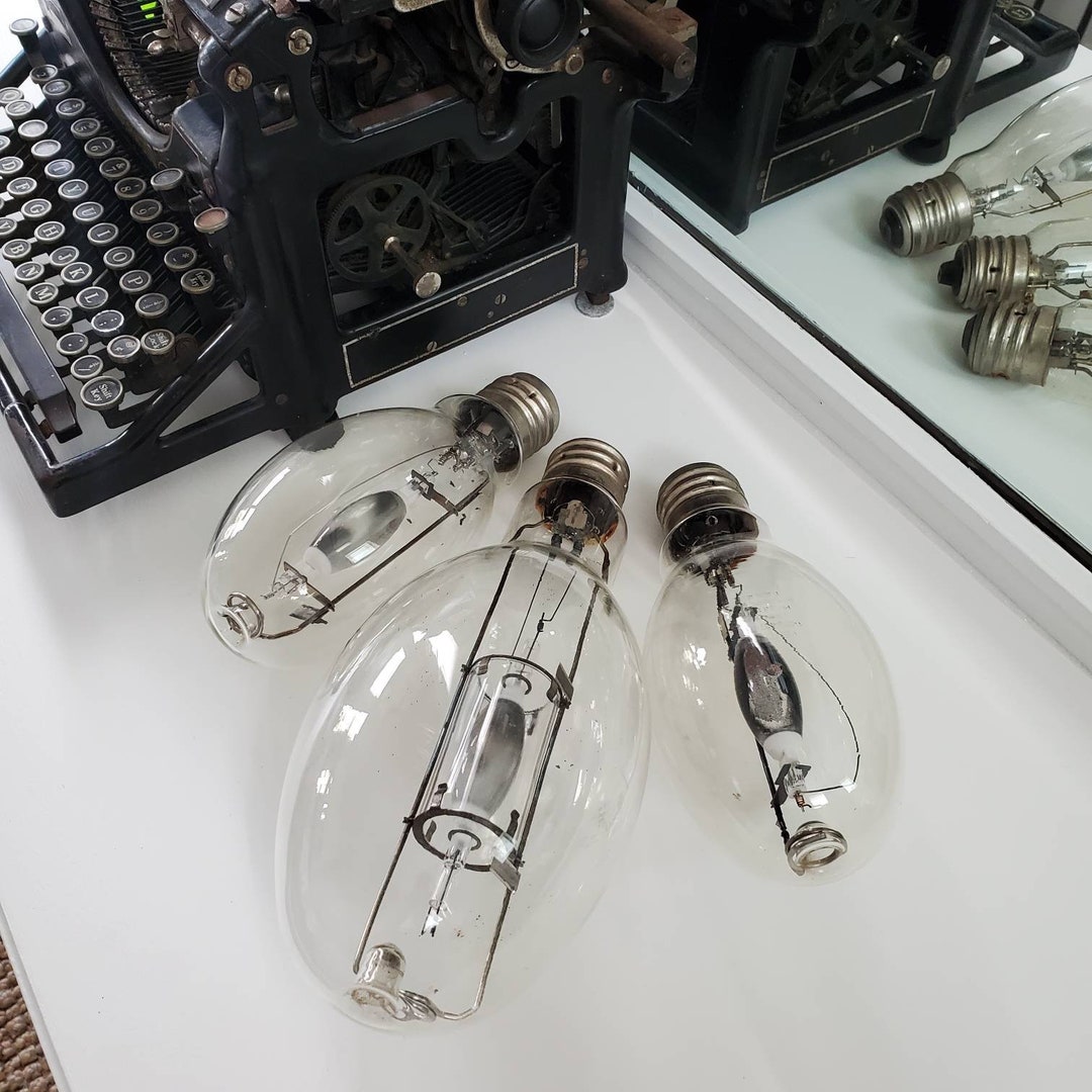Lot 3 Vintage Edison Industrial Large Modern Light Bulbs - Etsy