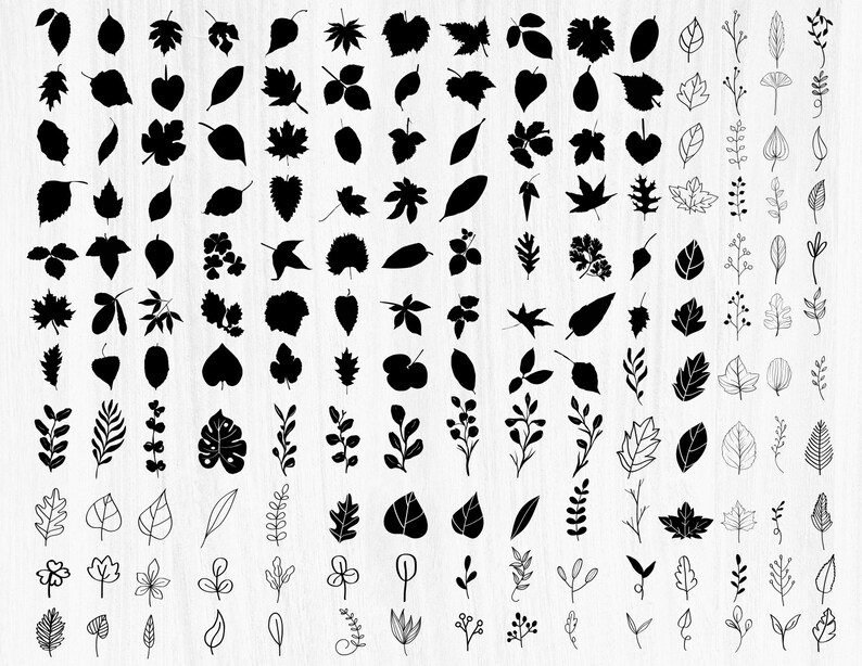 LEAF SVG Bundle Leaves Svg Bundle Leaf Clipart Leaf Svg Cut - Etsy
