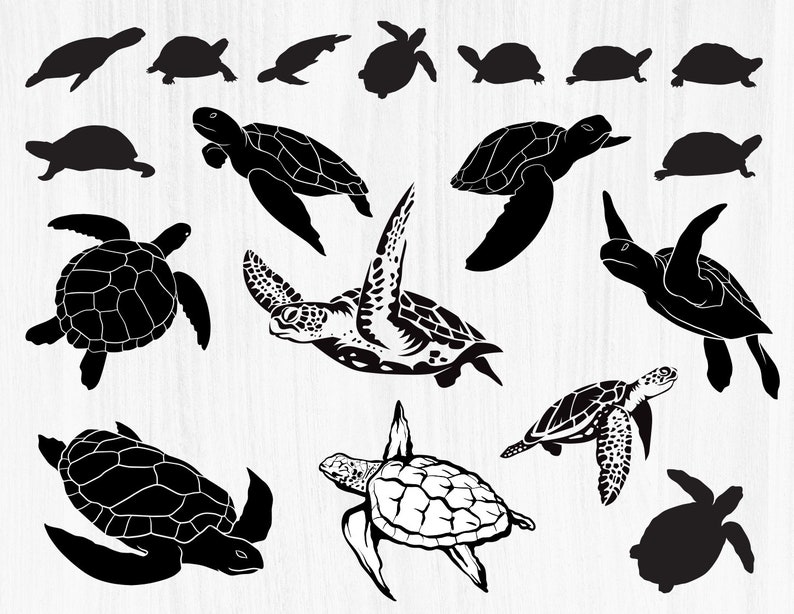TURTLE SVG Sea Turtle Svg Sea Turtles Clipart Turtle Svg - Etsy
