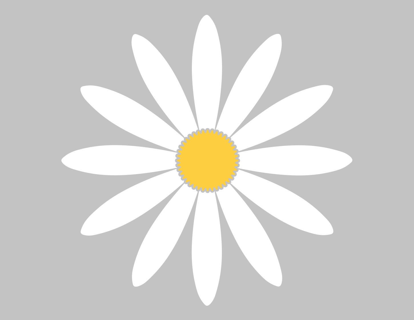 White Daisy Flower Clipart Cartoon