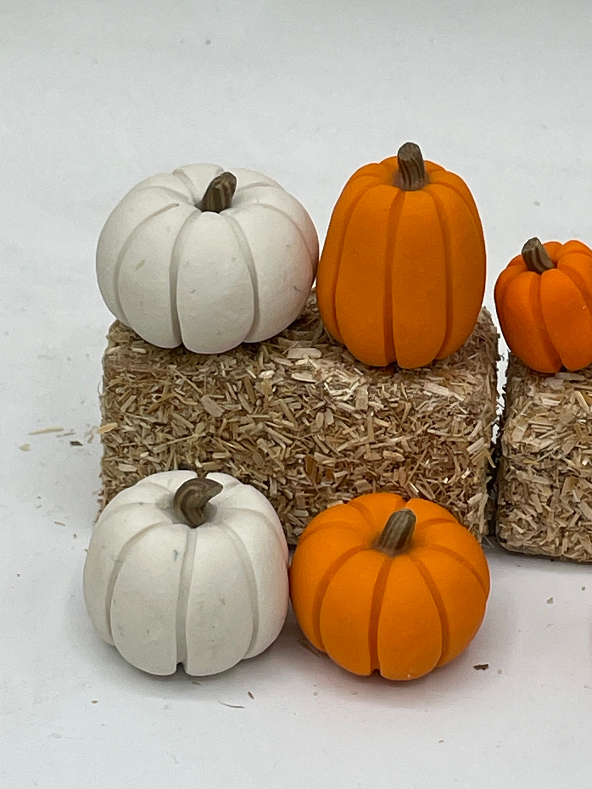 Miniature Boo Baskets~mini Pumpkins Both Orange and White in 3 Sizes - Etsy
