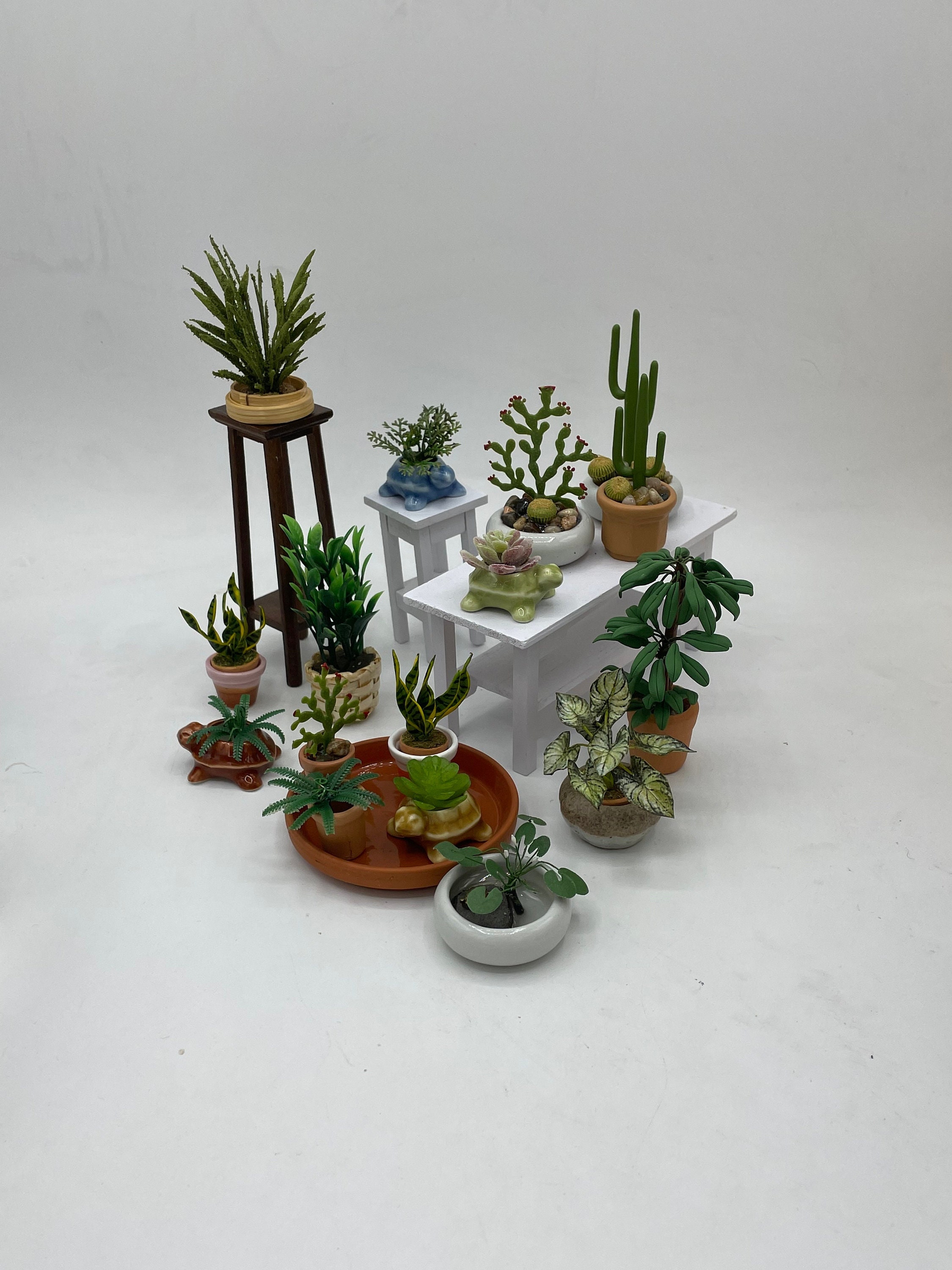 Miniature Houseplant Shop~mini Water Garden~mini Cactus Gardens~mini ...