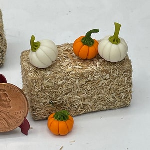 Miniature Boo Baskets~mini Pumpkins Both Orange and White in 3 Sizes - Etsy