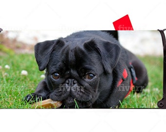Pug Mailbox | Etsy