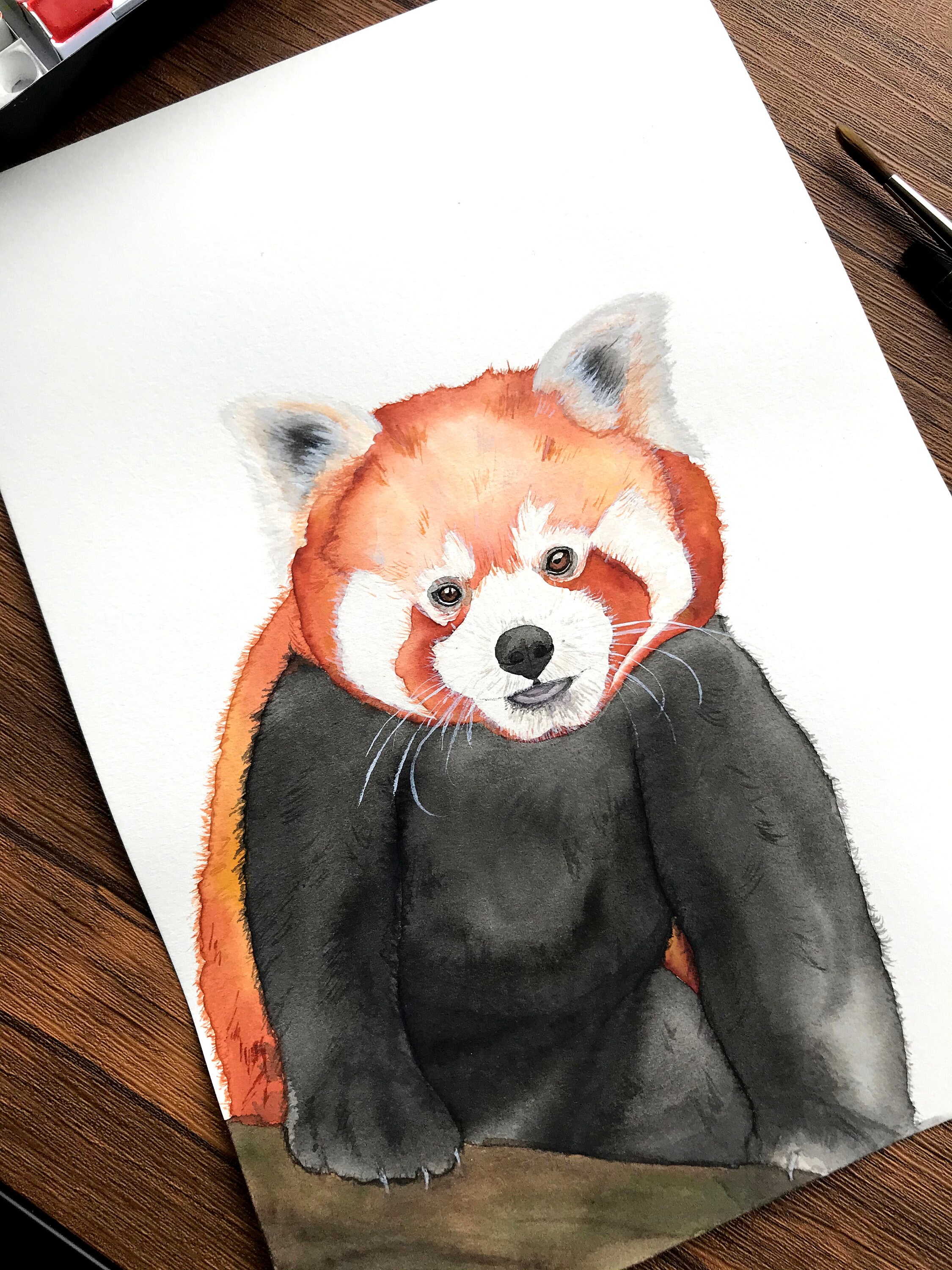 Red Panda Watercolour Red Panda Print Watercolour Painting - Etsy UK