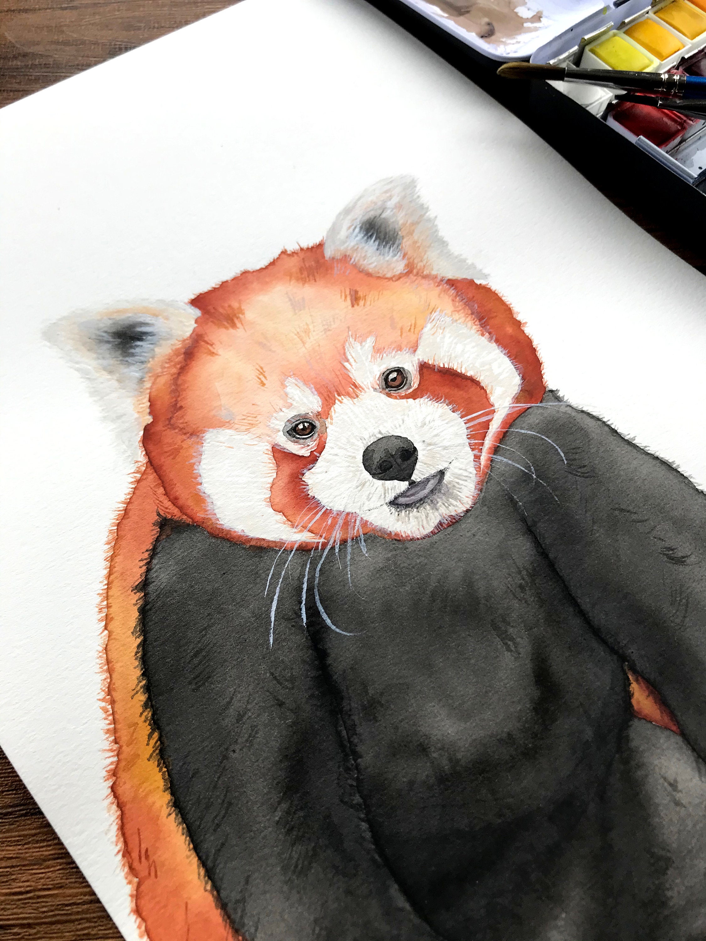 Red Panda Watercolour Red Panda Print Watercolour Painting - Etsy UK