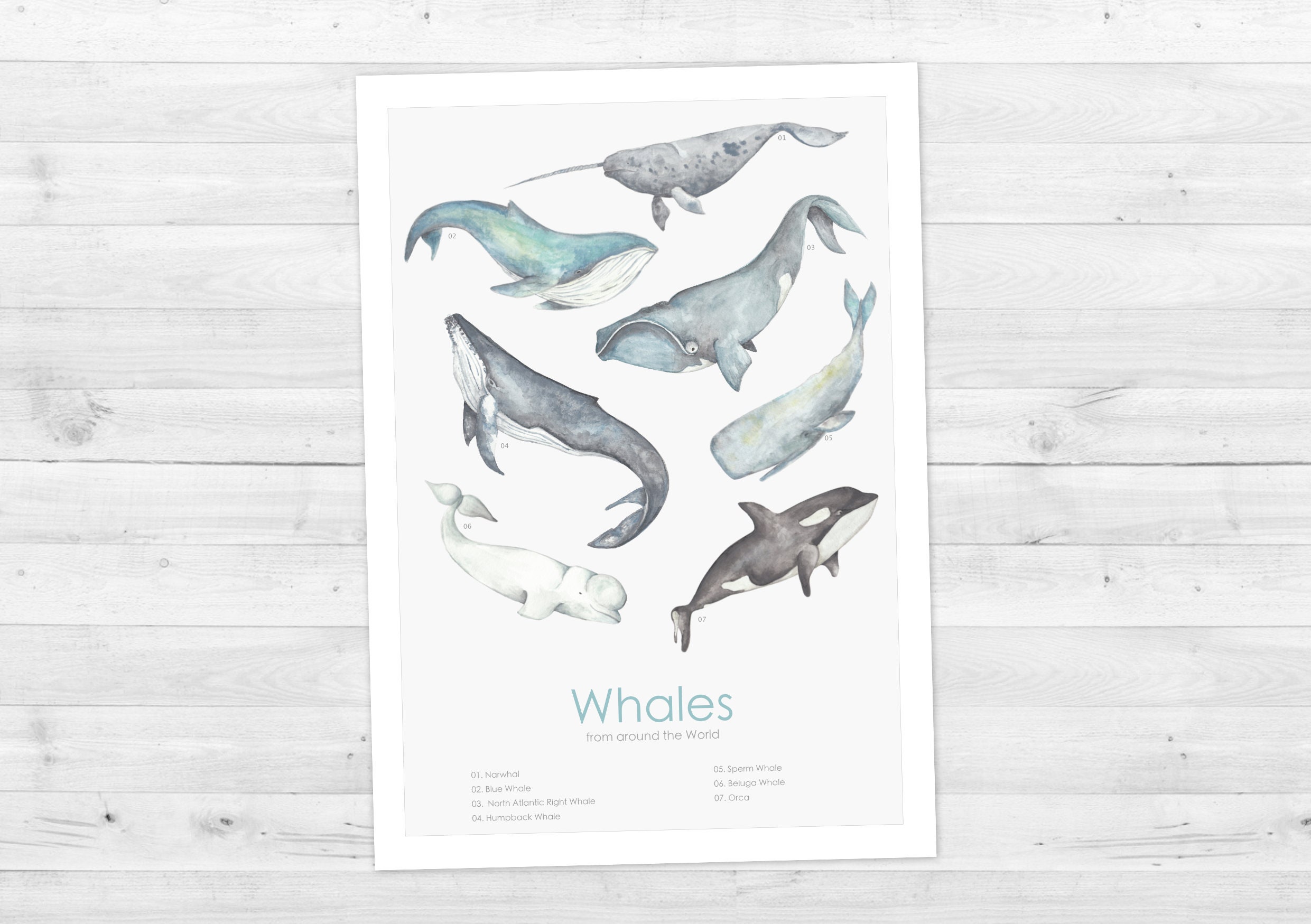 Whales Watercolour Painting Watercolour Whales Art Print | Etsy