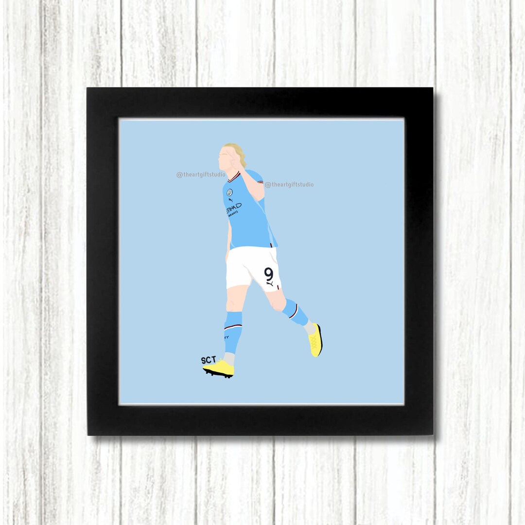 Erling Haaland | Manchester City | Premier League Soccer Football ...