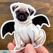Vampire Pug Sticker, Water Proof Sticker, Halloween Dog Sticker, Water ...