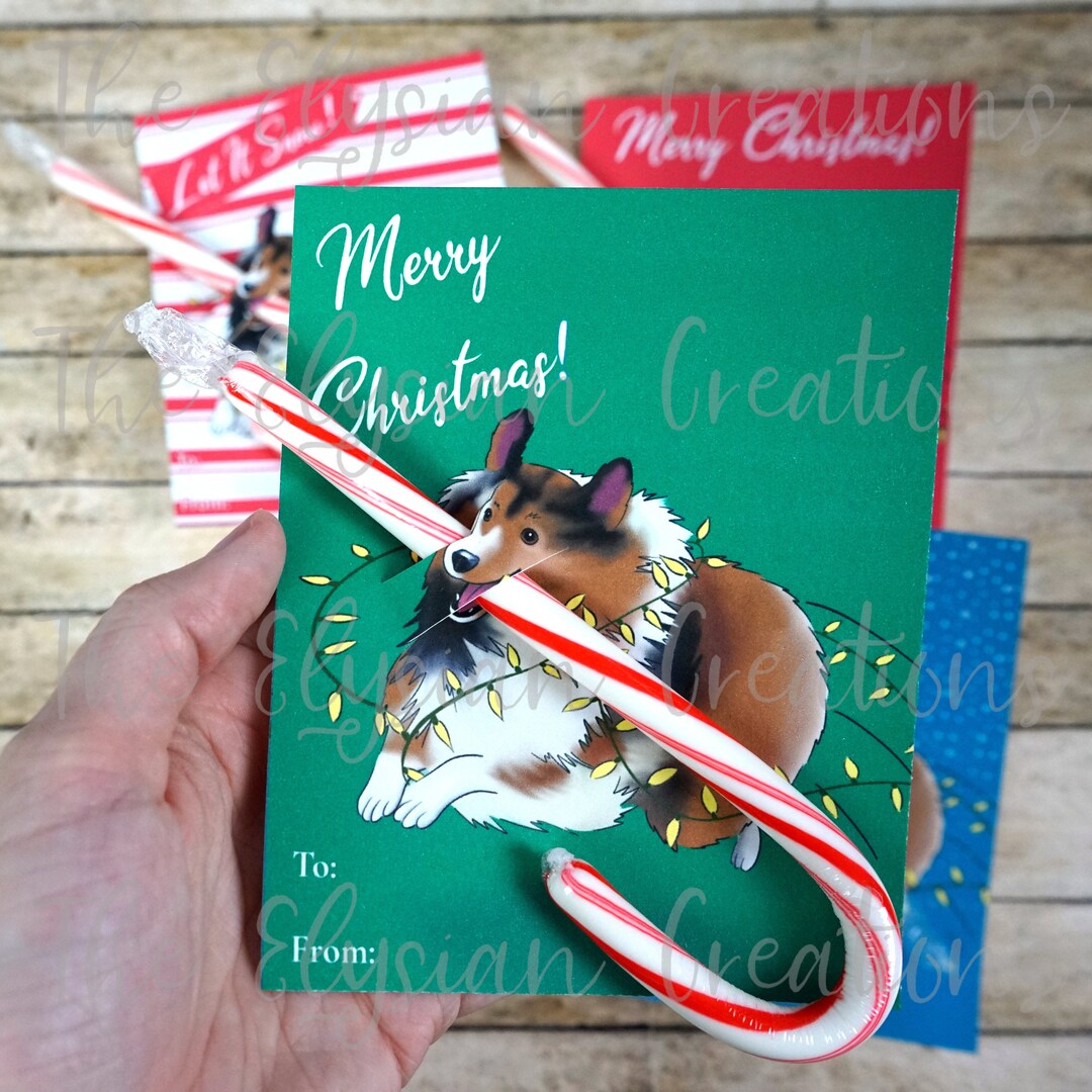 Sable Sheltie Teacher Christmas Cards, Coworker Holliday Card ...