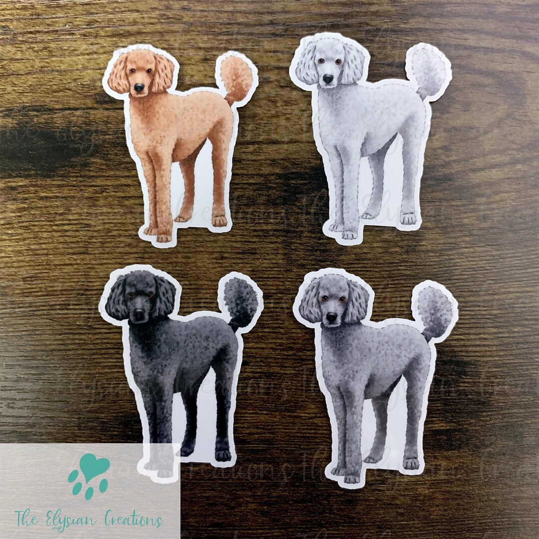 Standard Poodle Sticker, Water Proof Sticker, Dog Sticker, Water Bottle ...